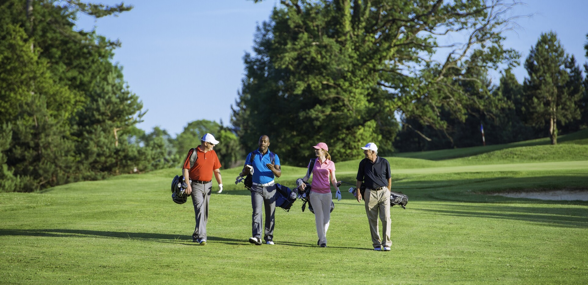 Troon Access - Meck County Golf